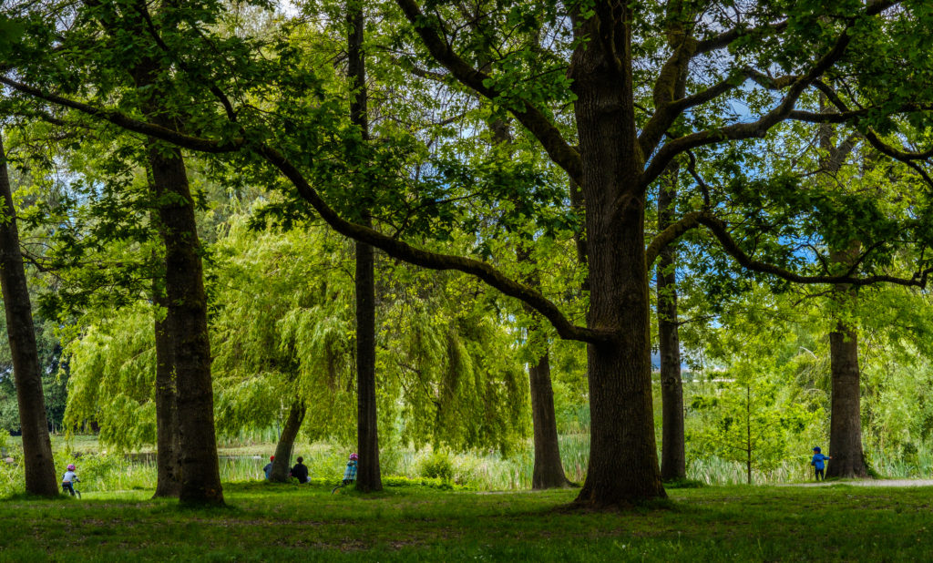 Rendering an Image - Edward Peck