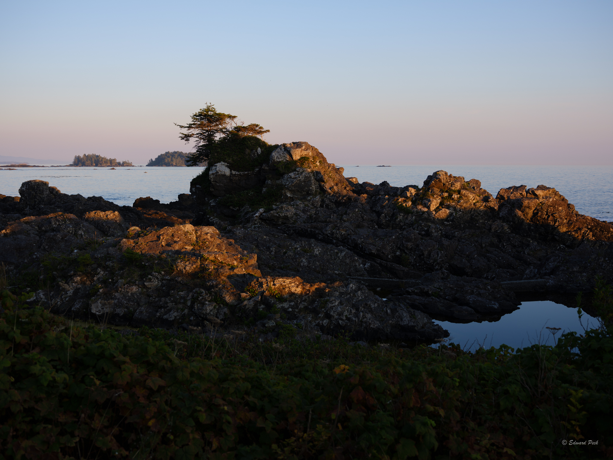 Work Flow - Edward Peck