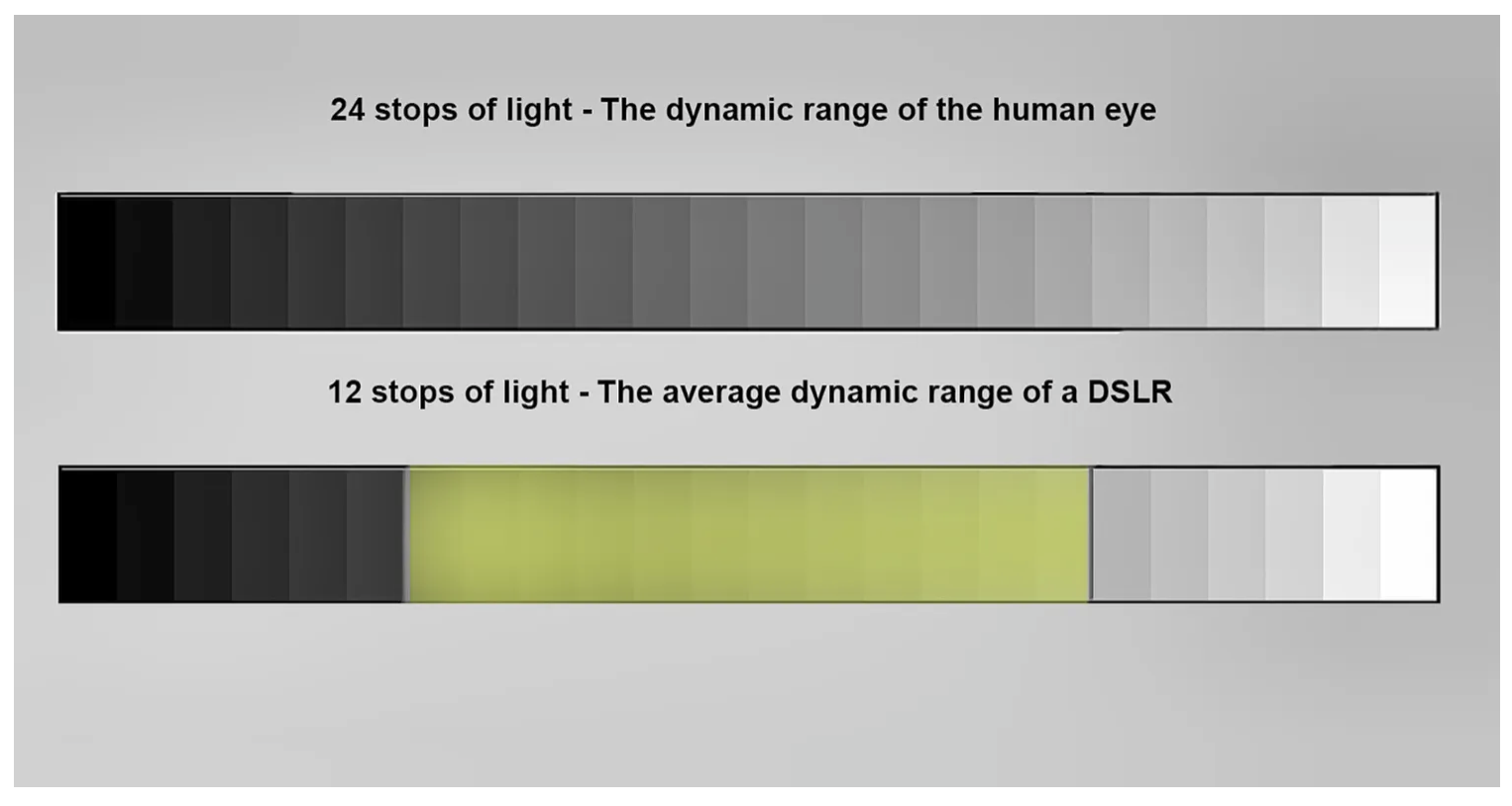 Dynamic Range - Edward Peck