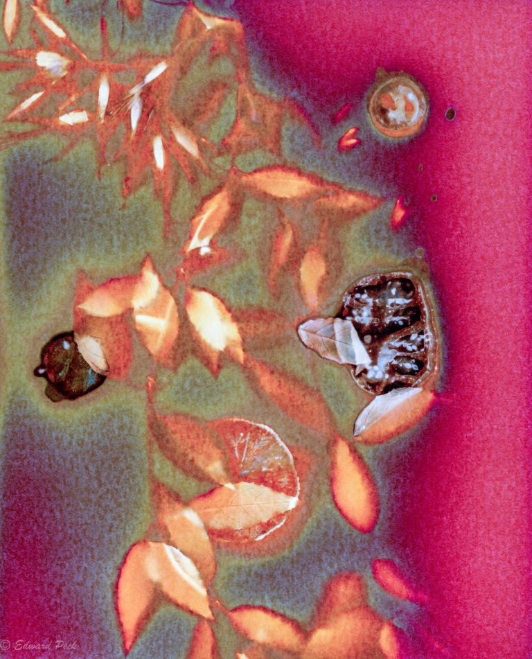 Moving Through, Edward Peck, sassamatt.com20250911-img20250911_13351100 - Edward Peck