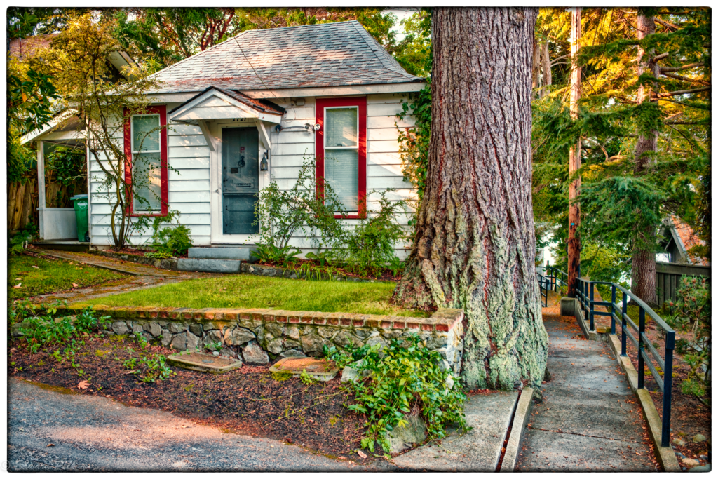 Side Entrance and Tree, Edward Peck, sassamatt.com20250905-DSCF3430-Edit - Edward Peck